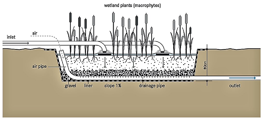 Constructed Wetlands Wastewater Treatment